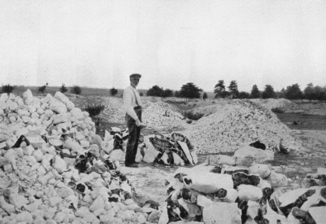 High Lodge Heritage - Landscape - The Flint Mines of High Lodge